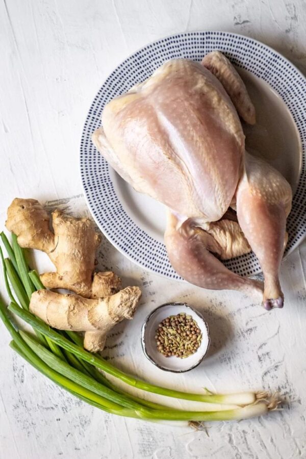 Resep Ayam Rebus Sehat dan Sederhana, Bagus untuk Diet - Nion